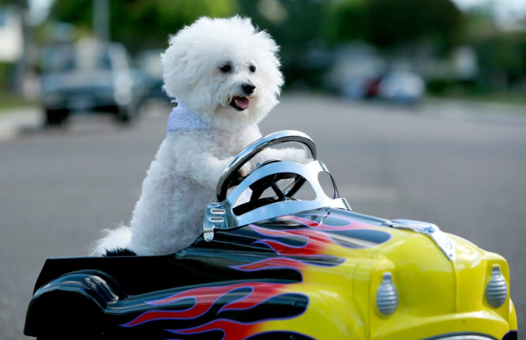 Making progress, in our uniquely wacky way - Inman