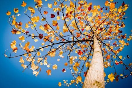 5 steps to gear up for the fall selling season - Inman