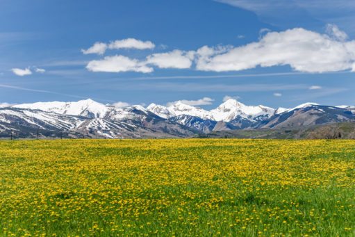 Luxury listing of the day: Star Mesa Ranch in Aspen, Colorado - Inman