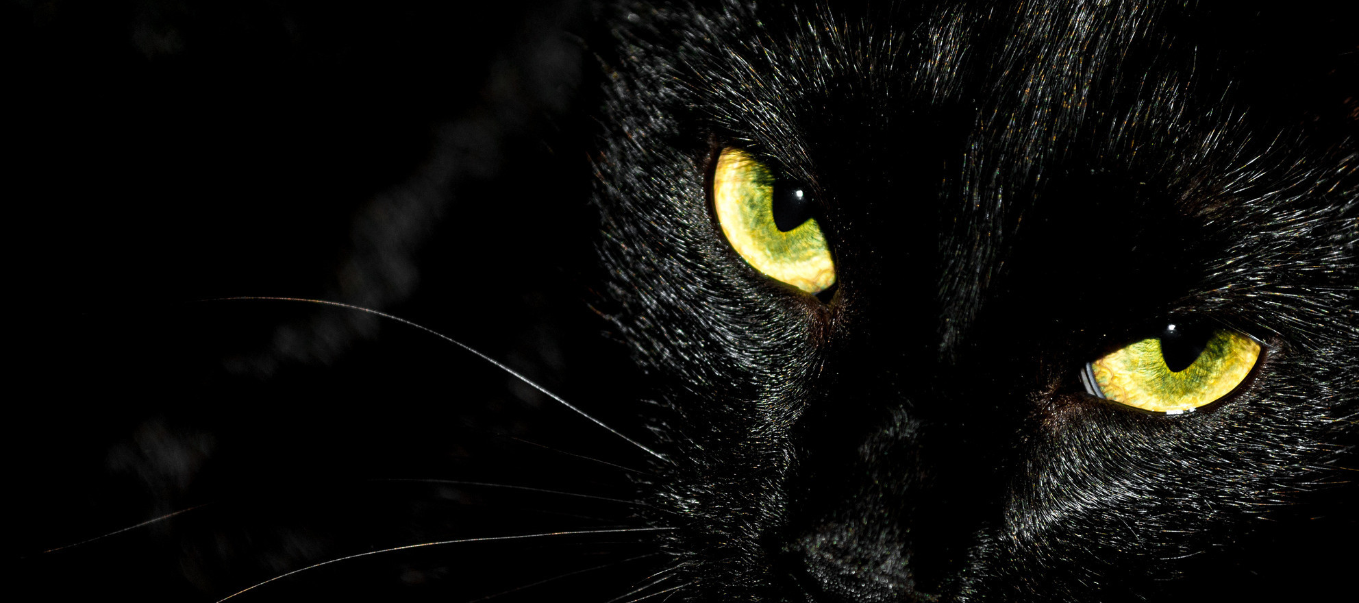 Jinx! 11 Real Estate Superstitions You Don't Want To Mess With - Inman