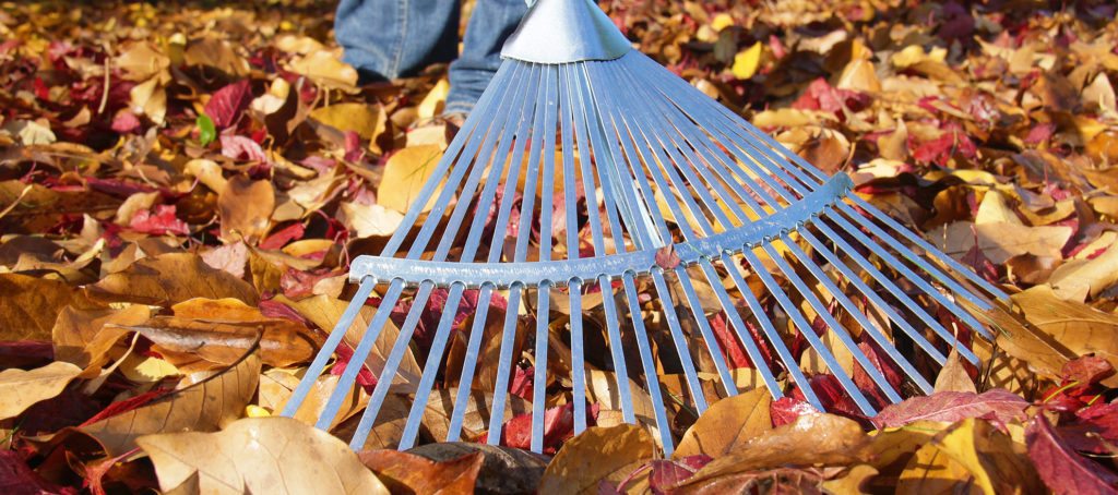Give 'Em What They Want: 3 Tips For Raking In Leads On Facebook - Inman