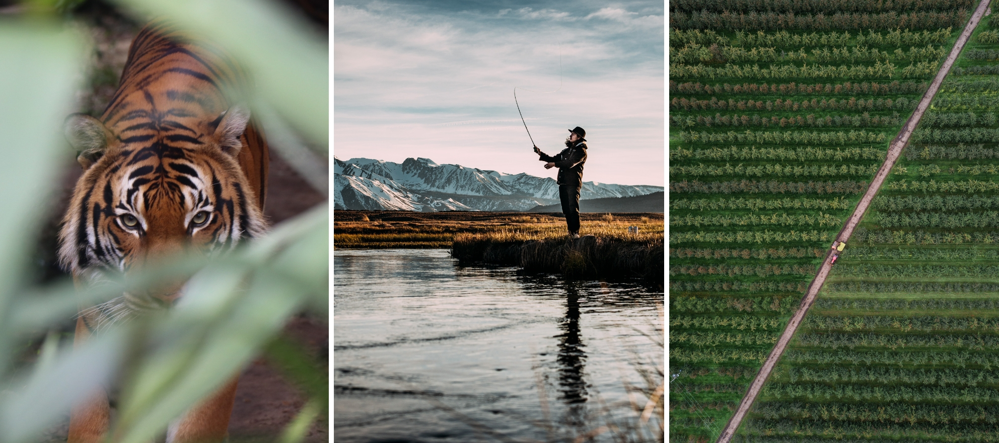 9 Strategies For Hunting, Fishing And Farming In A Shifting Market - Inman