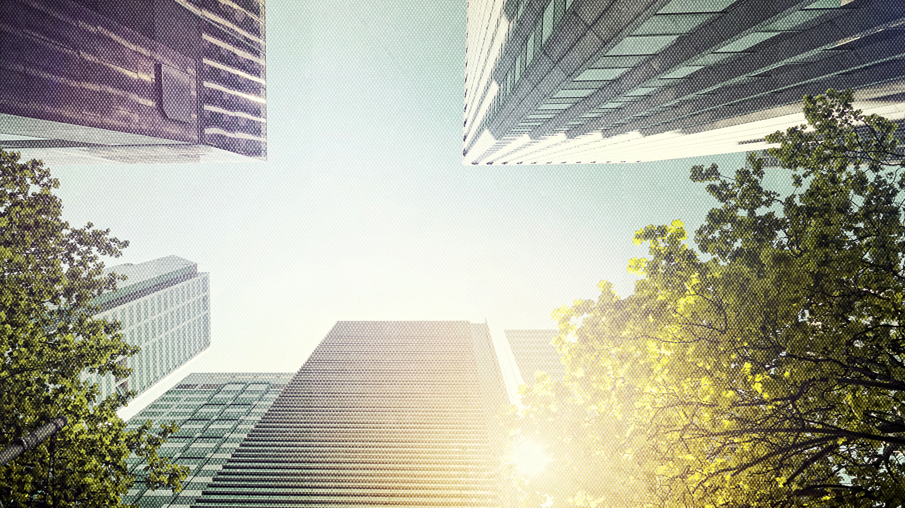 7 Daily Disciplines That'll Make Your Real Estate Business Boom - Inman