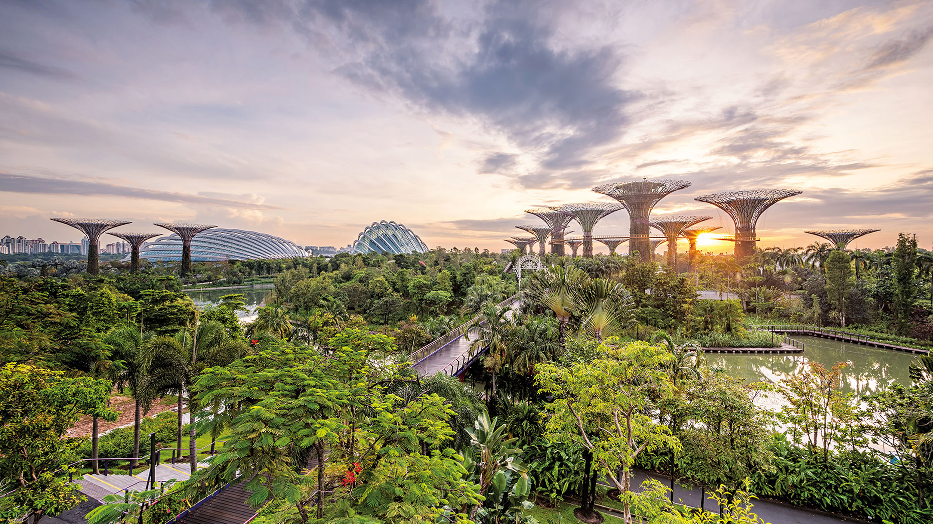 How the pandemic sharpened global focus on rewilding our urban spaces ...